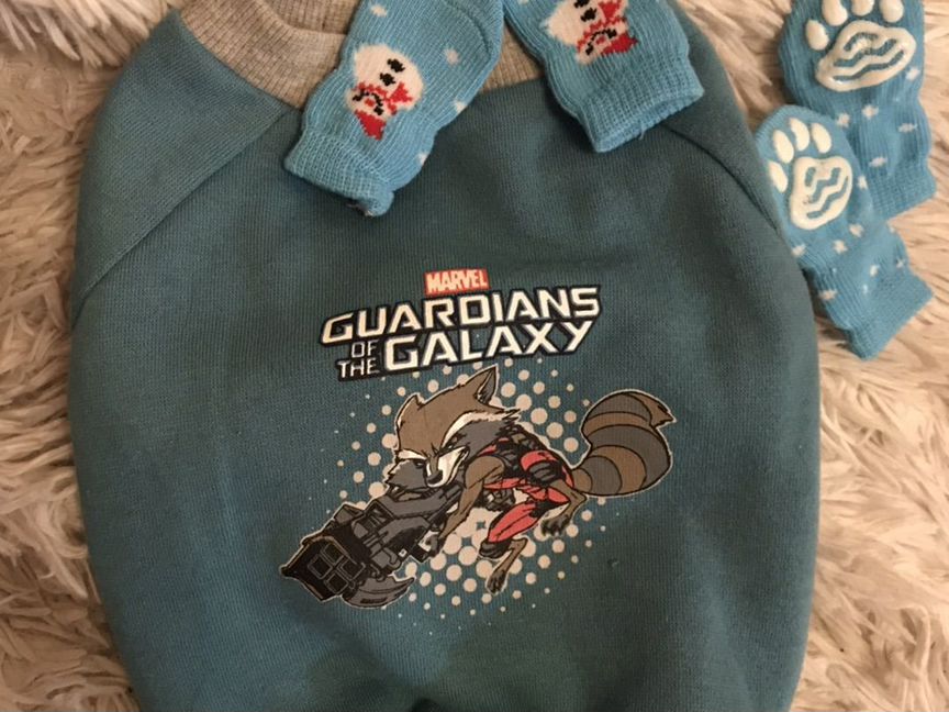 Кофта для кота