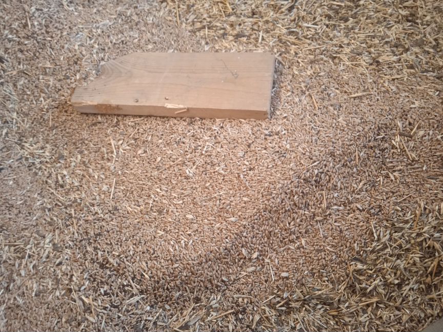 Зерноотходы