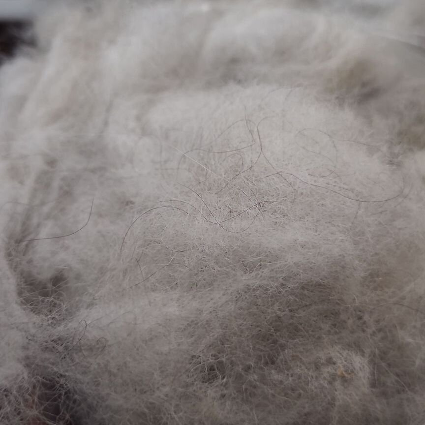 Шерсть собачья