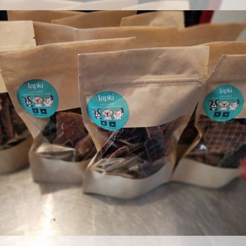 Домашние животные собаки