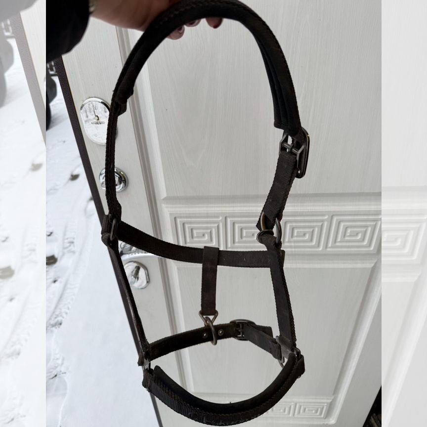 Недоуздок Eskadron Cob