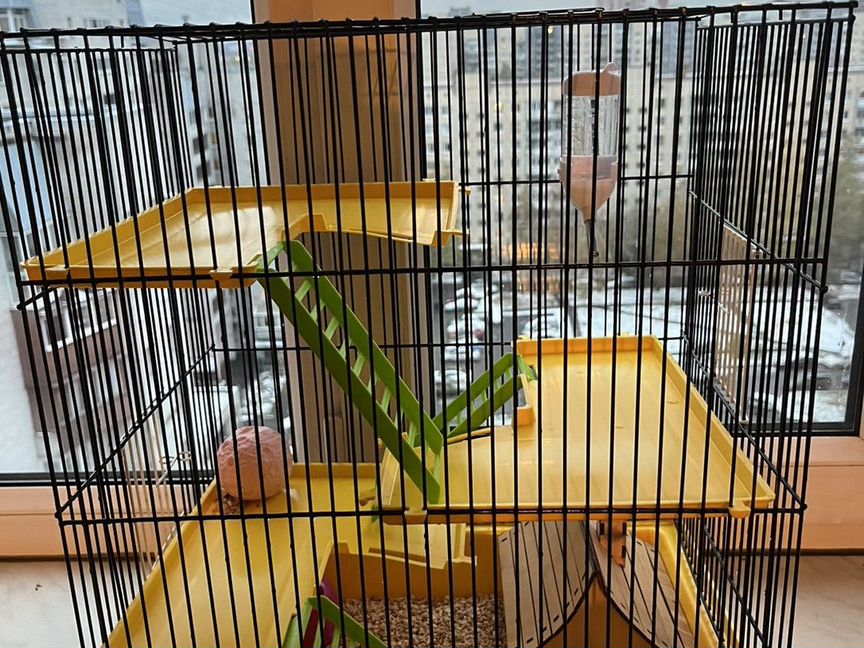 Клетка для хомяка