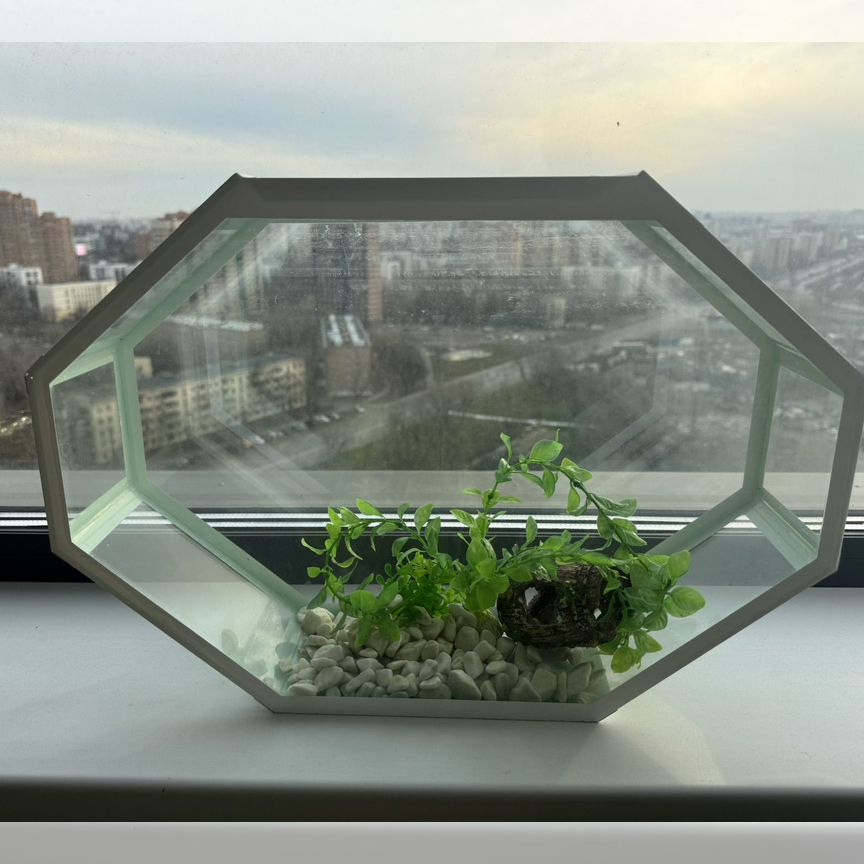 Необычный аквариум 11л