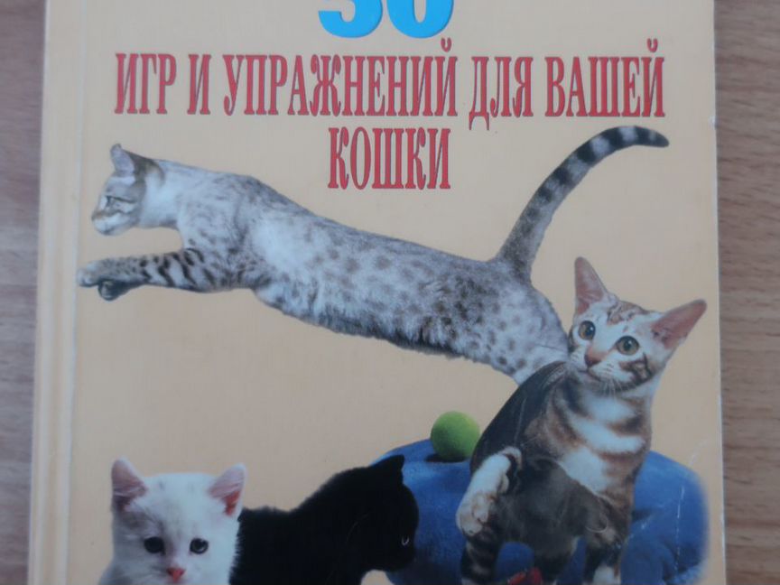 50 игр и упражнений для вашей кошки
