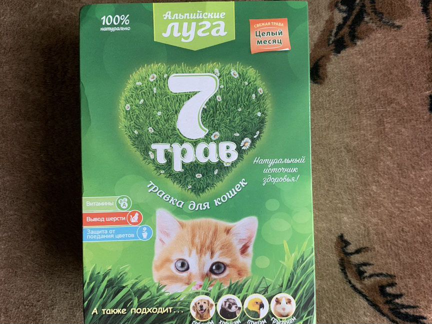 Кошачья трава