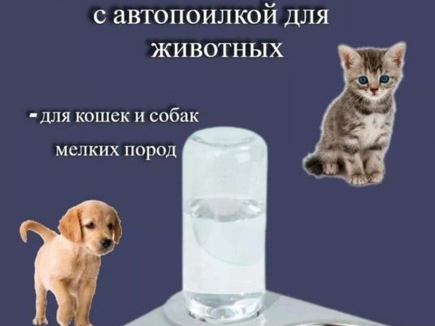 Новая раздвижная миска для кошек с автопоилкой