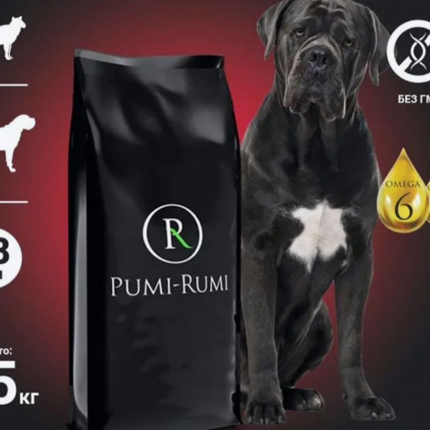 Сухой корм для собак