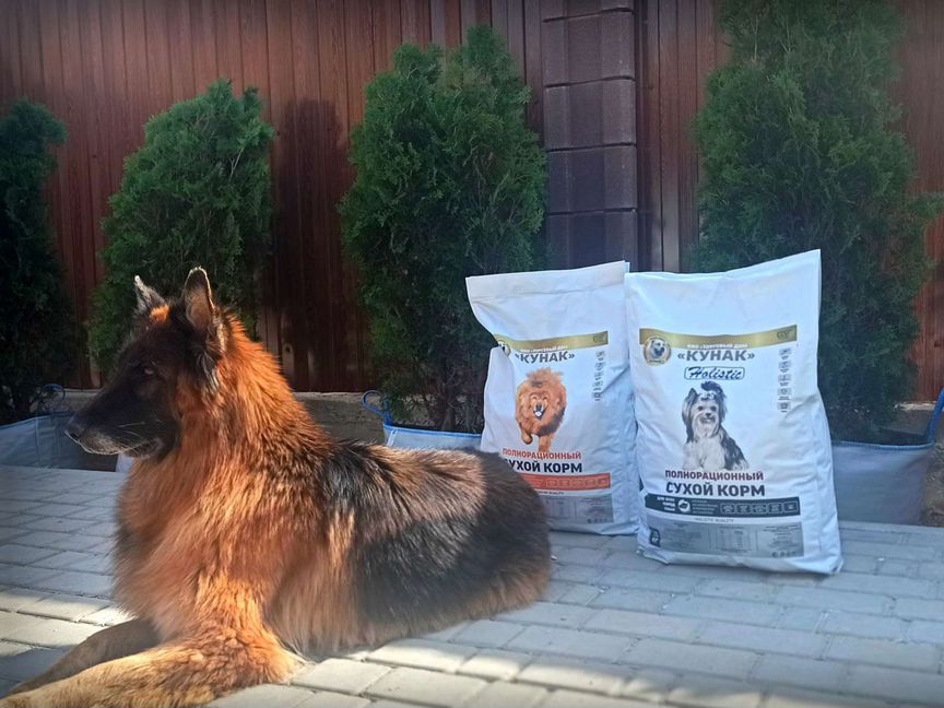 Корм для собак Кунак