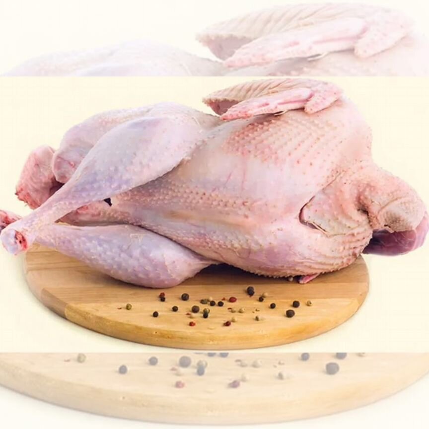 Индюки на мясо