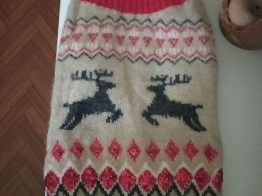 Одежда для собак