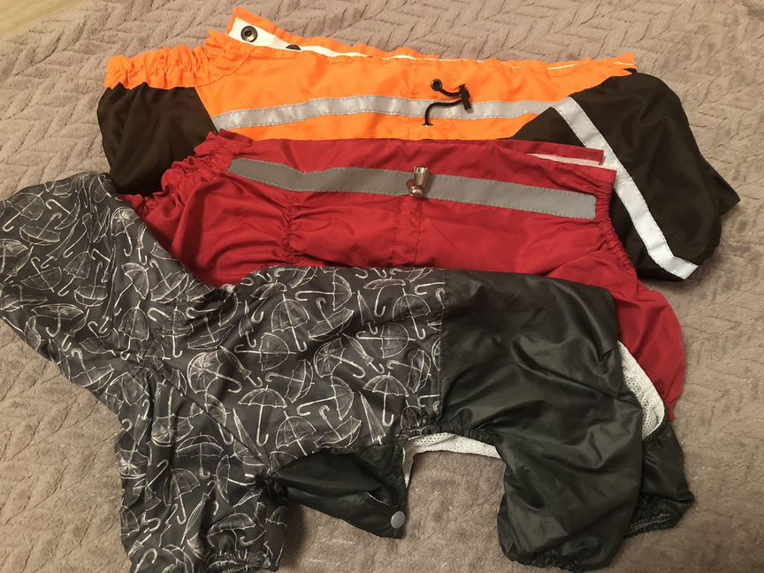 Одежда для собак