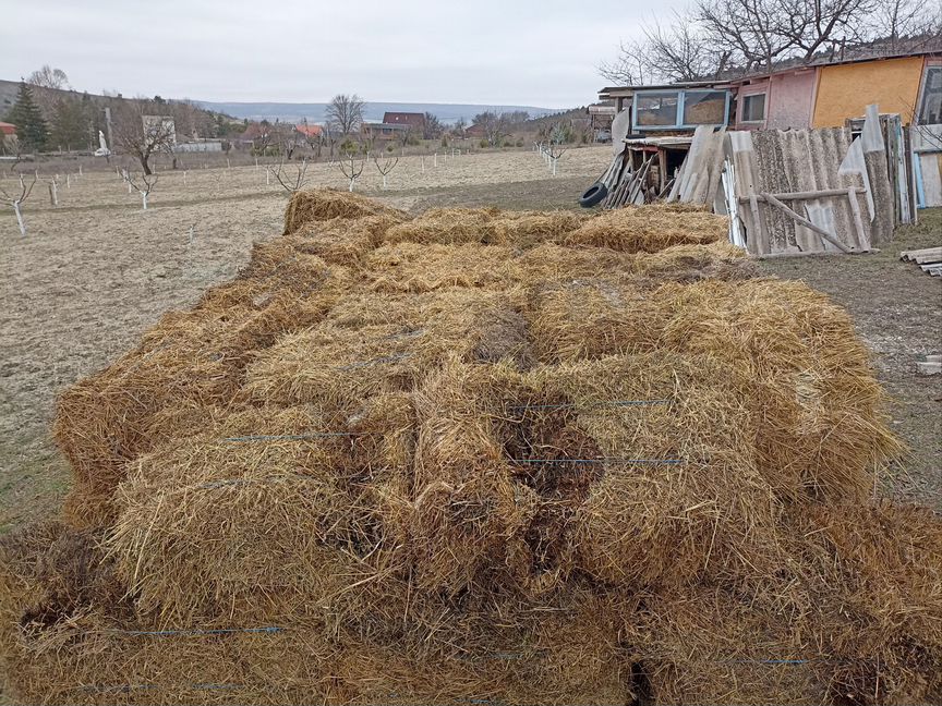 Сено в тюках