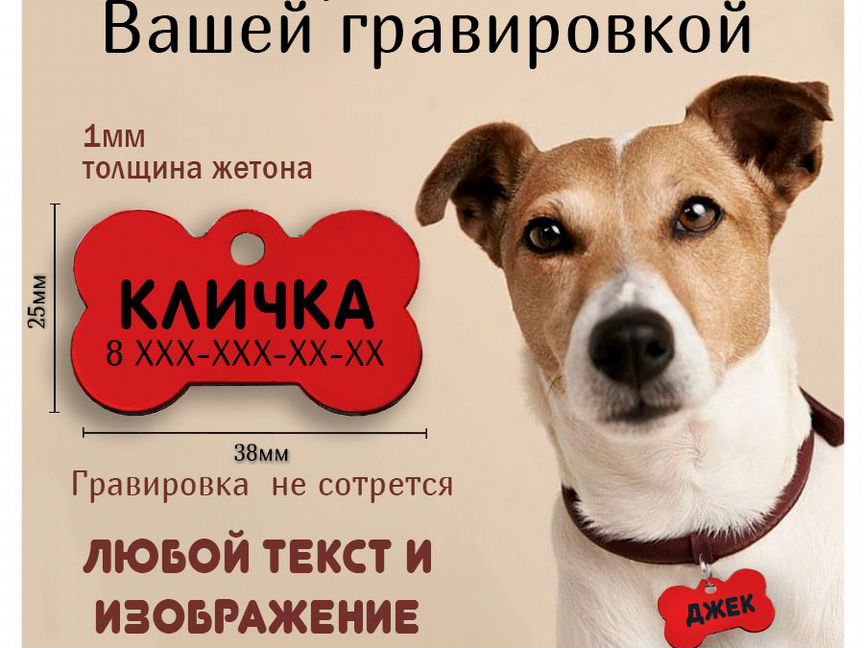 Адресник для собак и кошек с гравировкой большая к