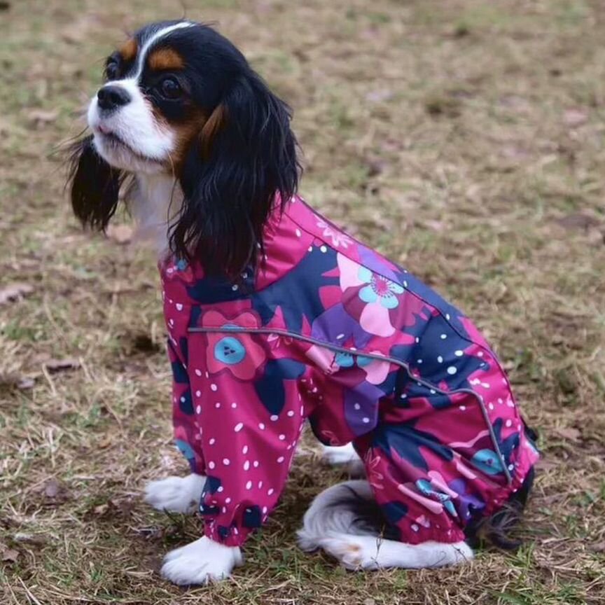 Дождевик для средней собаки