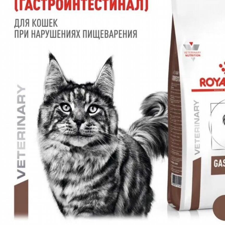 Сухой корм для кошек royal canin gastrointestinal