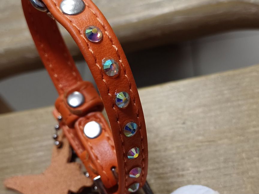 Ошейник со стразами collar glamour