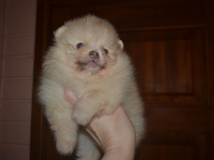 Мальчик Егорка