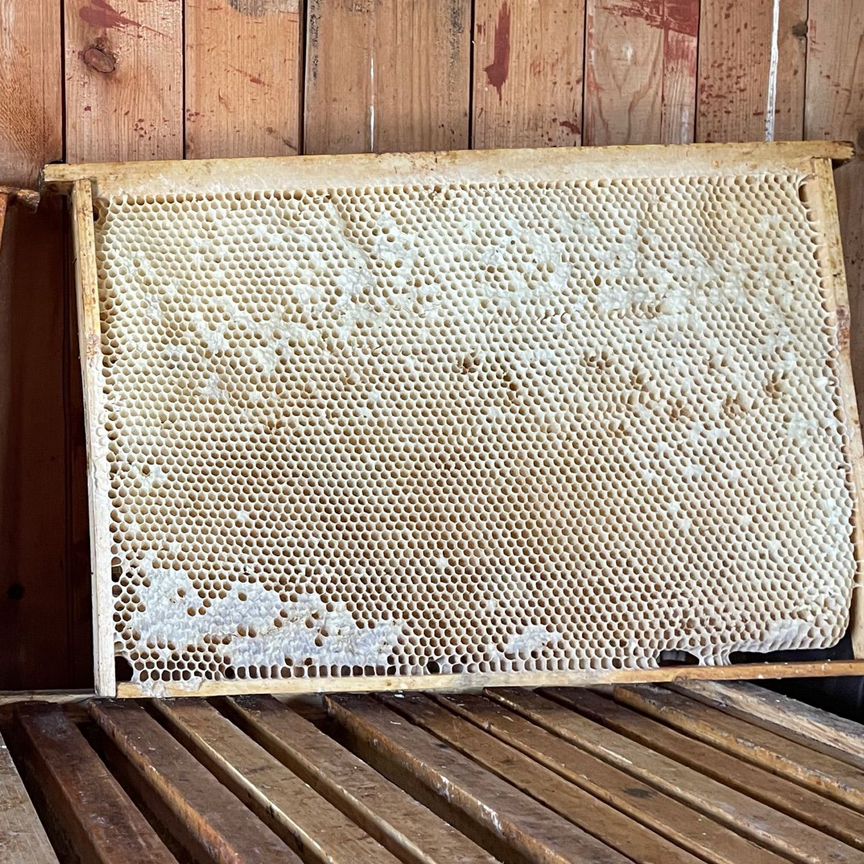 Сушь для пчел дадан