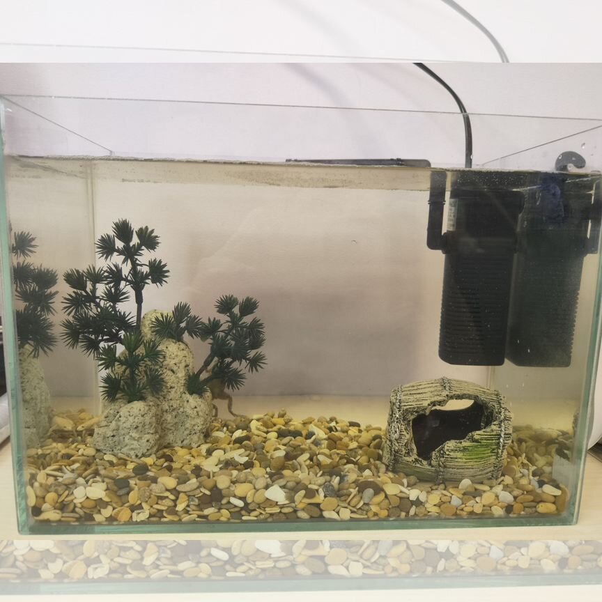 Аквариум с рыбками