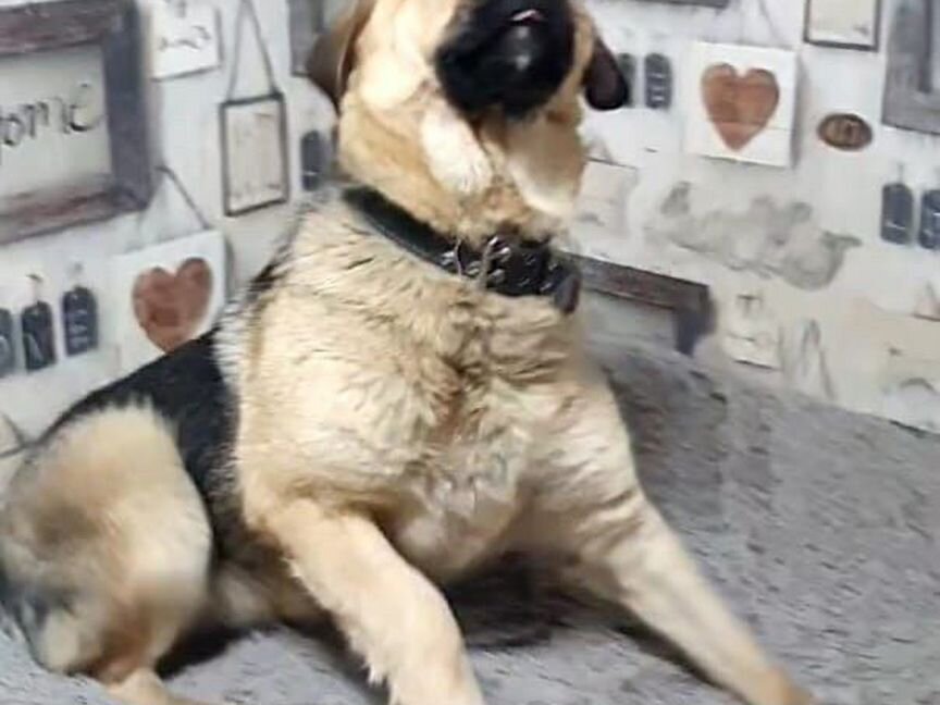 Молодой мальчик