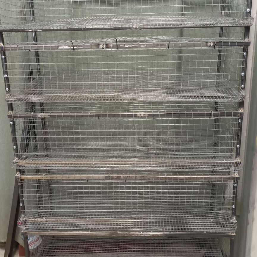 Клетка для перепелов