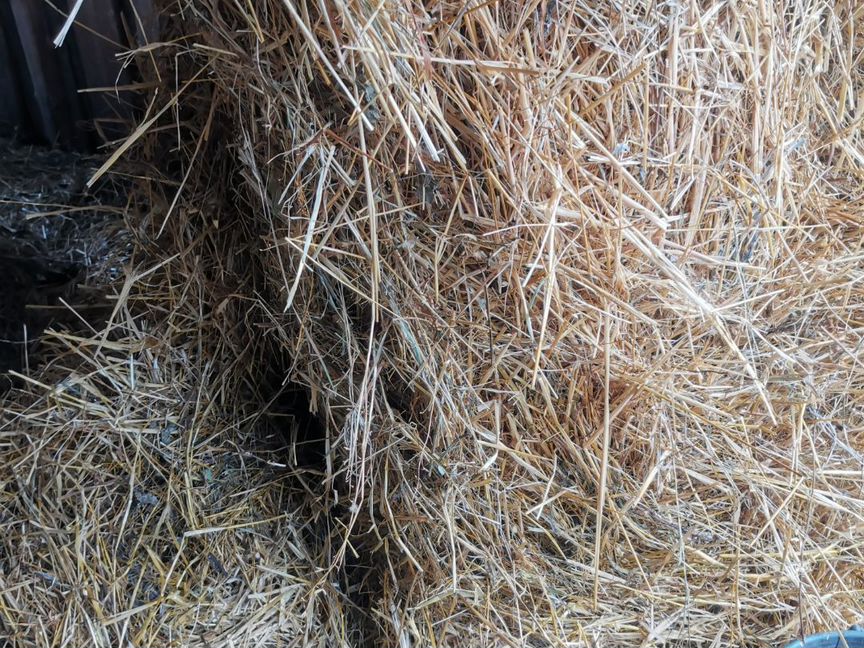 Солома в рулонах