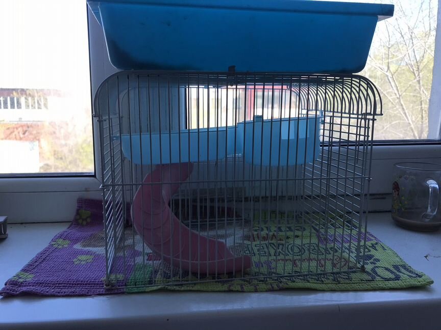 Клетка для грызунов бу