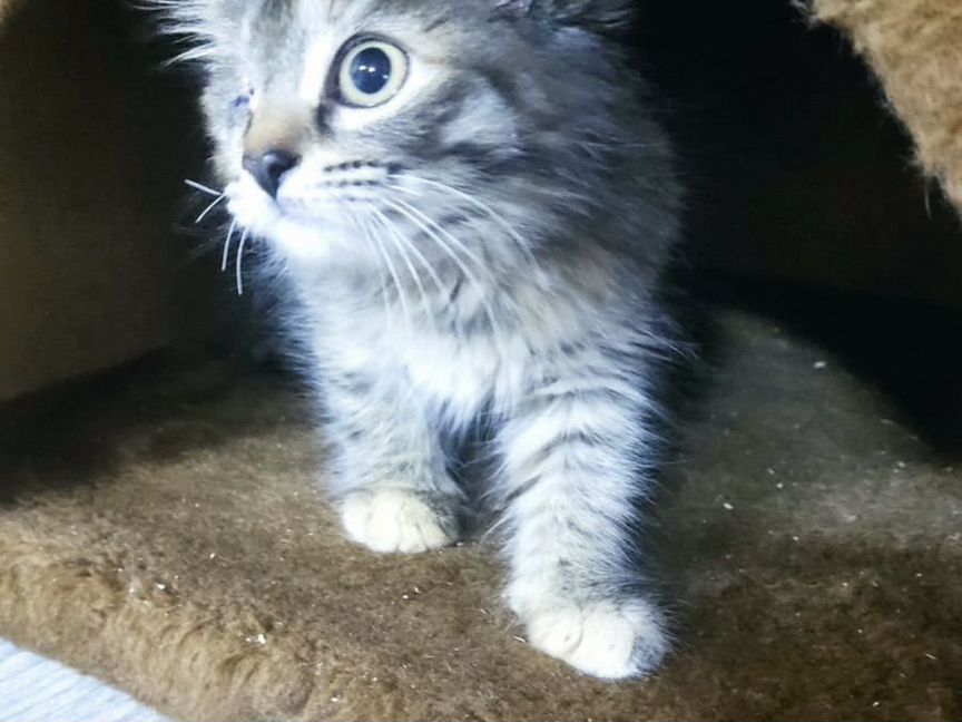 Особенной малышке так нужен дом