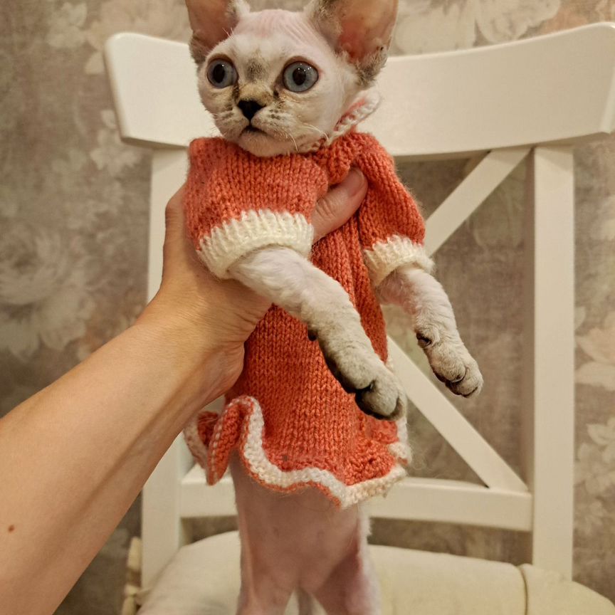 Кошечка Снежинка