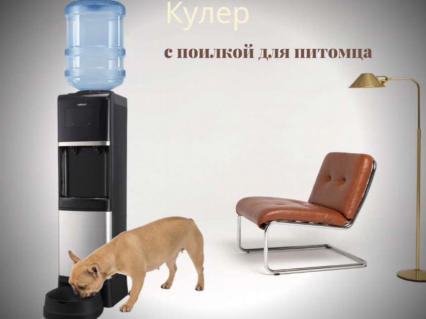 Кулер с поилкой для питомца