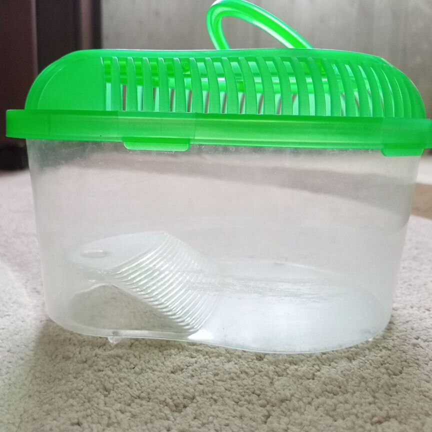 Аквариум,переноска для маленьких черепах