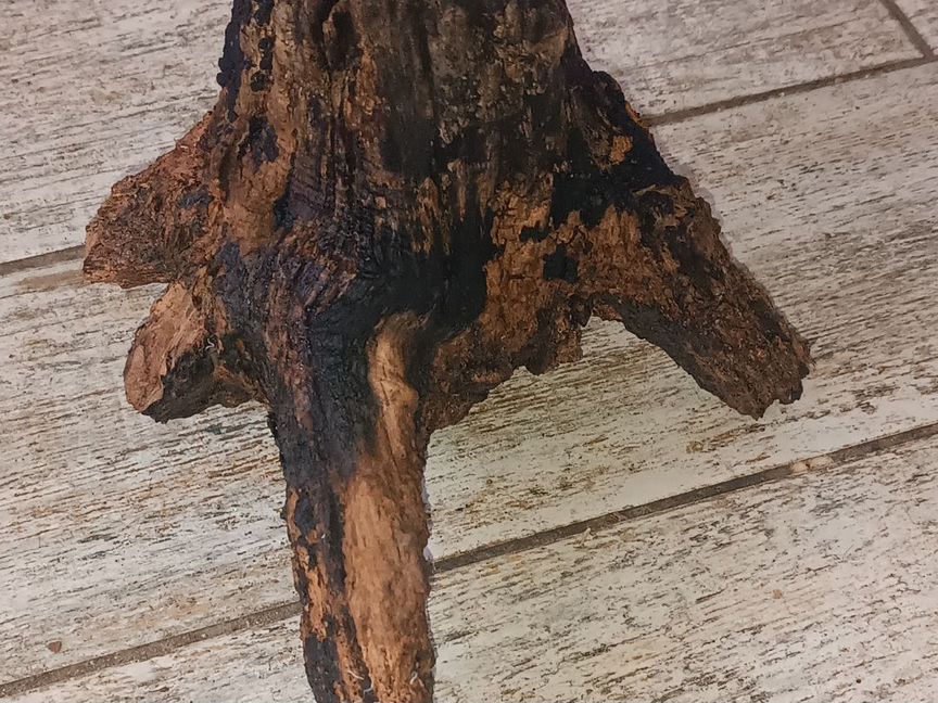 Коряга для декора терариума, флорариума