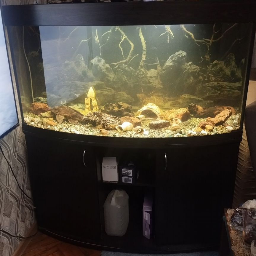 Аквариум 250 л