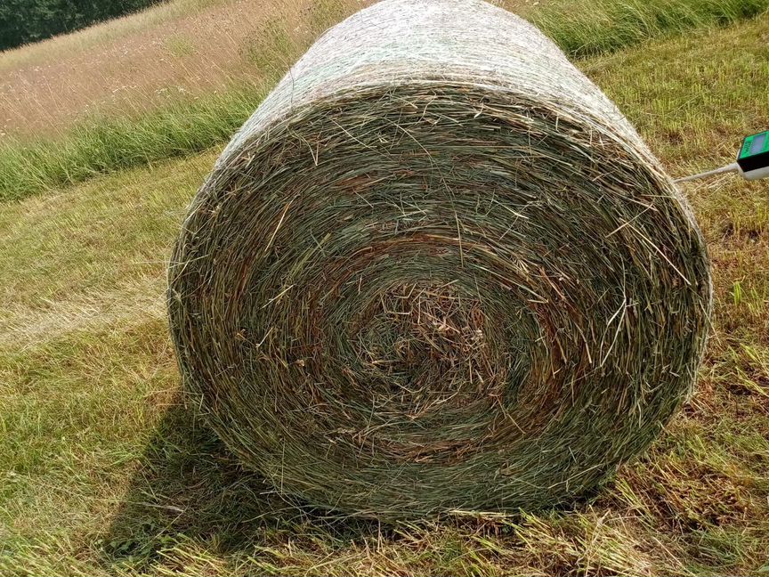 Продам сено в рулонах