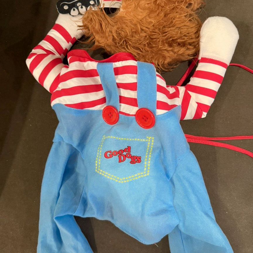 Костюм для собаки