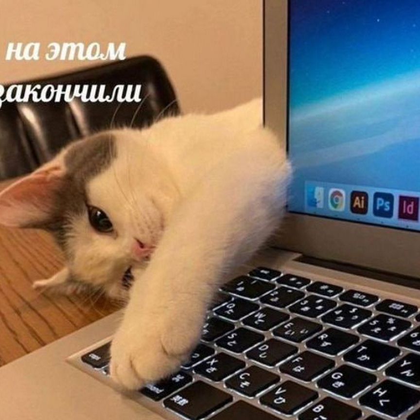 Отдам бесплатно