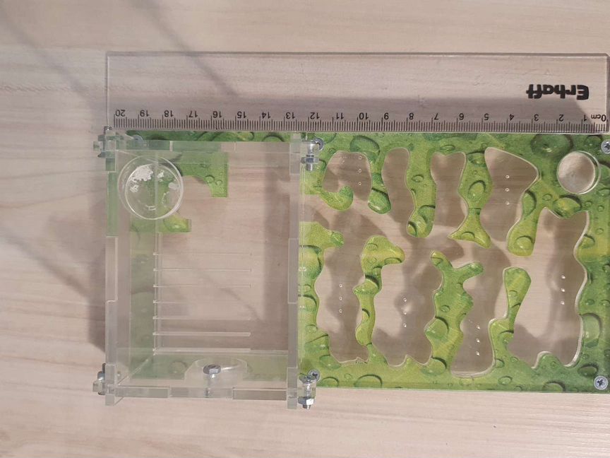 Формикарий для муравьев