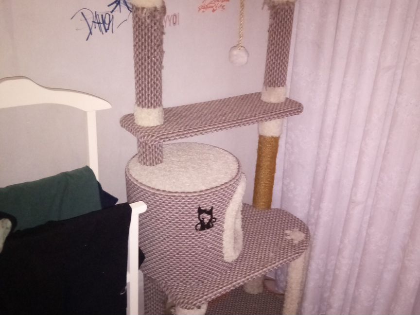 Домик для кота