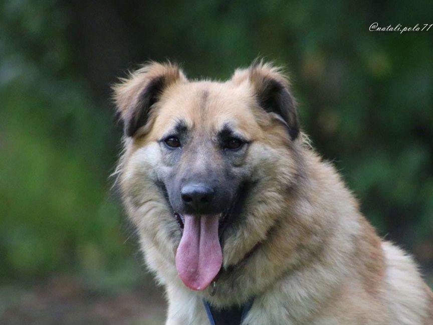 Мальта ищет дом