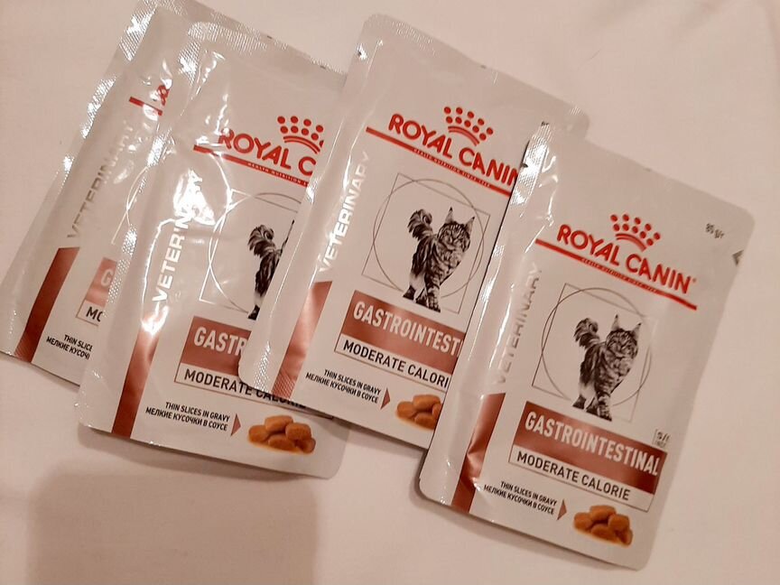 Влажный корм для кошек royal canin