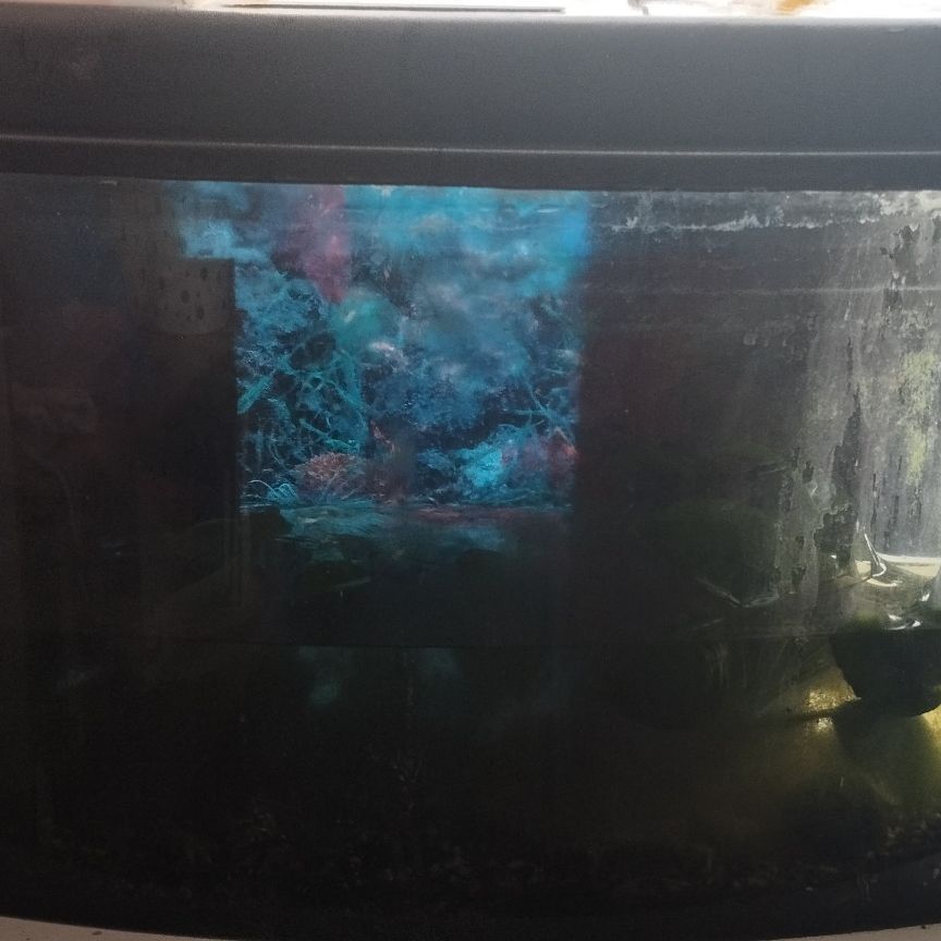 Аквариум панорамный 40 л