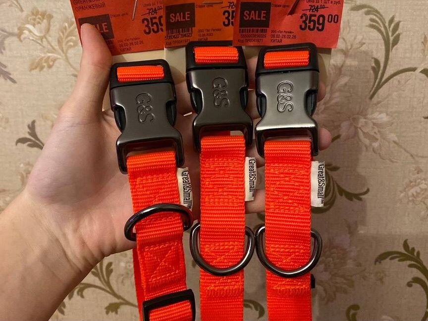 Амуниция для собак