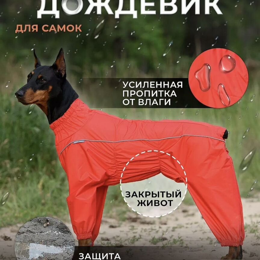 Дождевик для собак самки самка