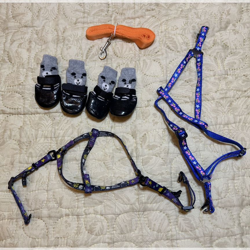 Для маленьких собак