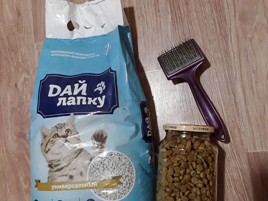 Набор для кота. Наполнитель, корм, расчёстка
