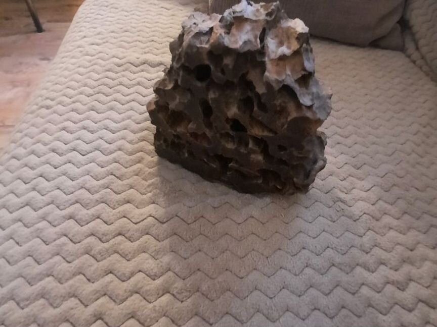 Камень дракона для аквариума