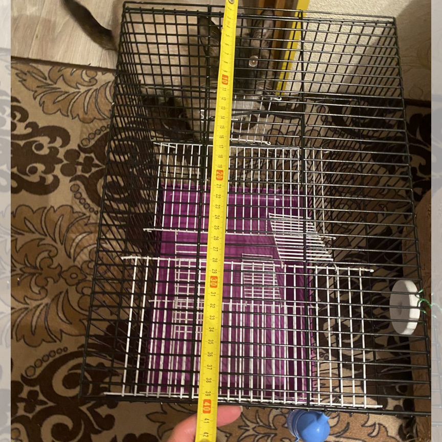Клетка для грызунов