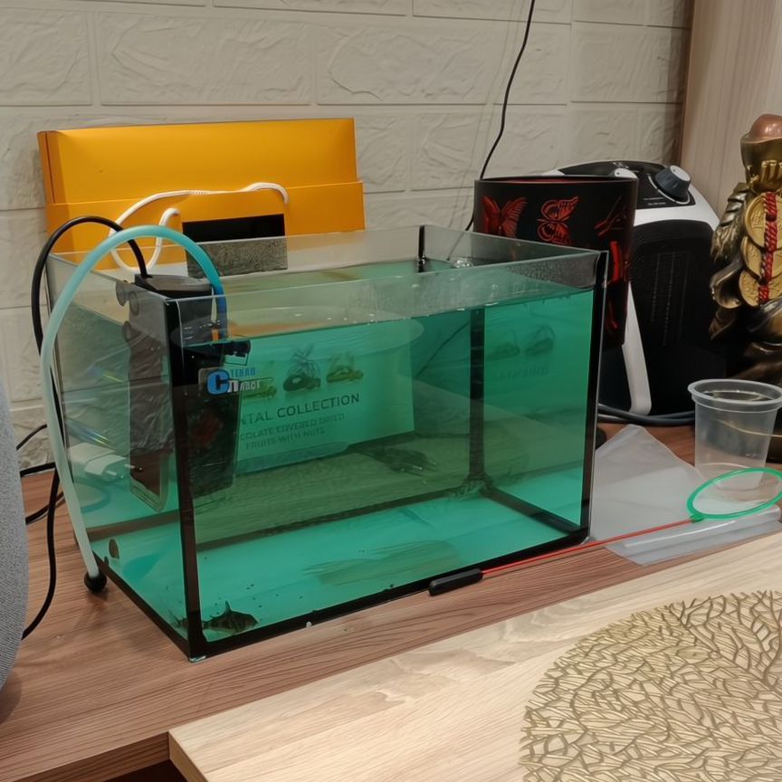 Аквариум с рыбками