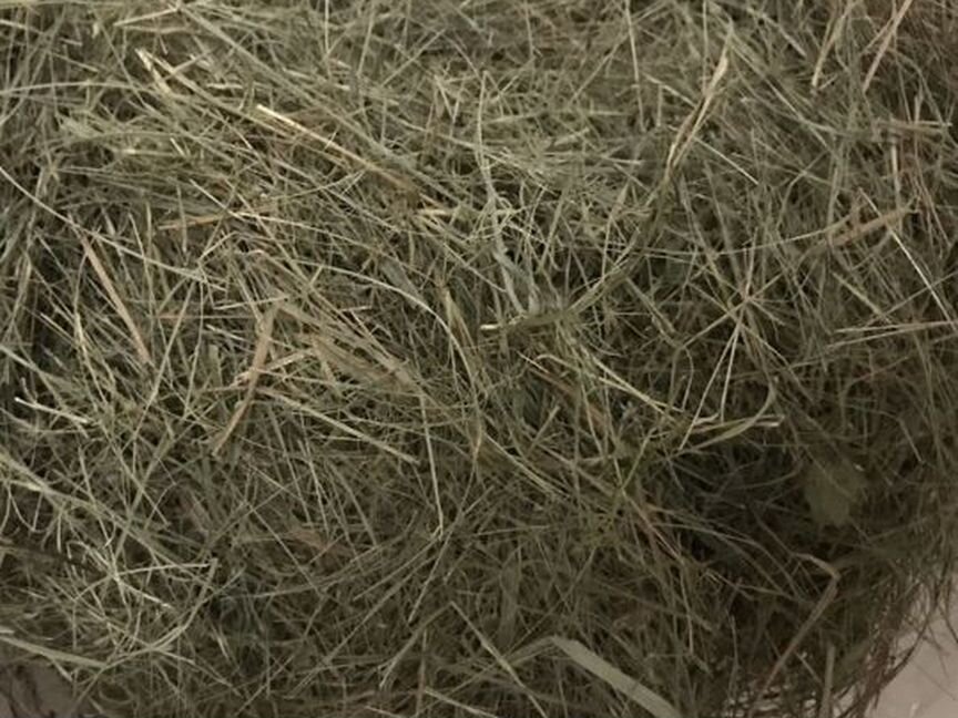 Сено, ветк,травы дикоросы для кроликов,белок