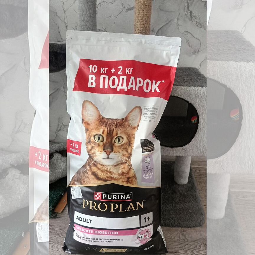 Корм для кошек